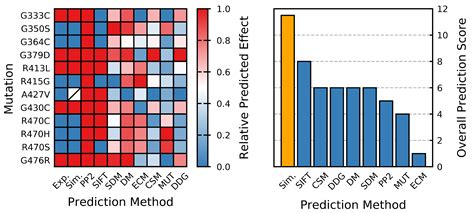 KEAP1 Cancer Mutants A Large Scale Molecular Dynamics Study Of Protein