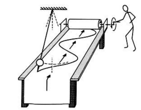 AP Physics Introduction Simple Harmonic Motion Study Notes