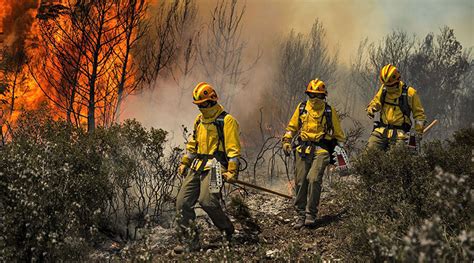 Día Internacional Del Combatiente De Incendios Forestales El Trabajo