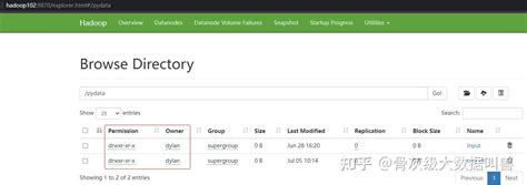 【spark篇】提交数据至hdfs时报权限不足 知乎 【spark篇】提交数据至hdfs时报权限不足 知乎