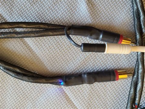 Synergistic Research Phase Ii X Series Subwoofer Cable 3 Meter With