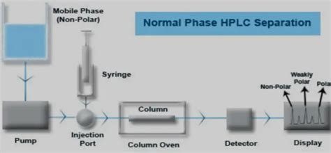 Difference Between Reverse Phase And Normal Phase Hplc Relationship