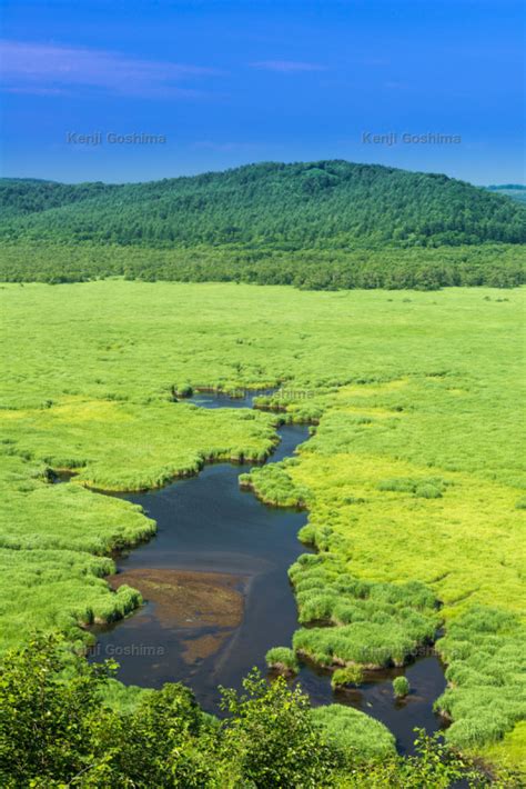 「コッタロ湿原」釧路湿原の北部にある湿原でタンチョウの営巣地として知られる ピクスポット 絶景・風景写真・撮影スポット・撮影ガイド