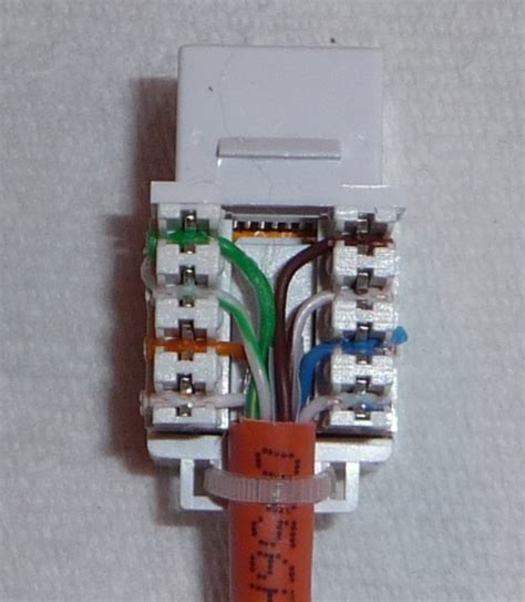 T B Cat Wiring Diagram Wall Jack Easy Wiring