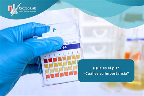 Que Es El PH Cual Es Su Importancia Explicado