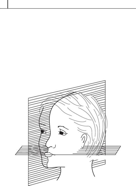 Dental Tooth Numbers Chart Teeth Numbers And Names System