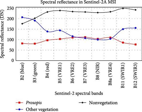 Spectral Reflectance Of Prosopis L Other Vegetation And Nonvegetation
