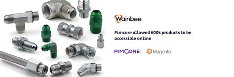 Pimcore Audit Optimization Services Scandiweb