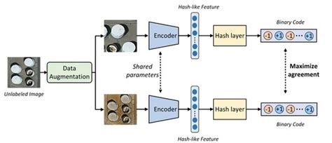 deep contrastive self supervised hashing for remote sensing image retrieval