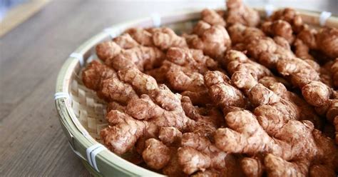 9 Remedios Para Mejorar La Circulación De Las Piernas Salud