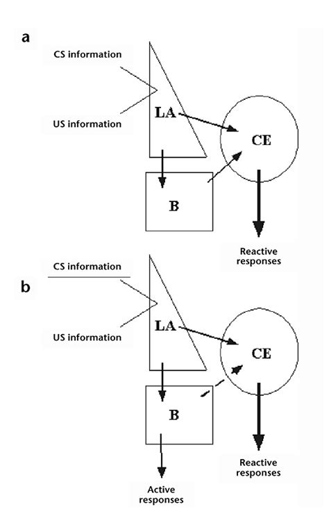 Models Of Fear Conditioninga The Traditional Model Of Information Download Scientific