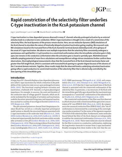 Pdf Rapid Constriction Of The Selectivity Filter Underlies C Type