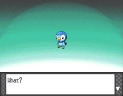 Quazza We Just Dont Know Porn Photo Pics