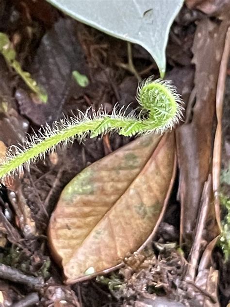 Img 3950 Amber Ellinger Flickr