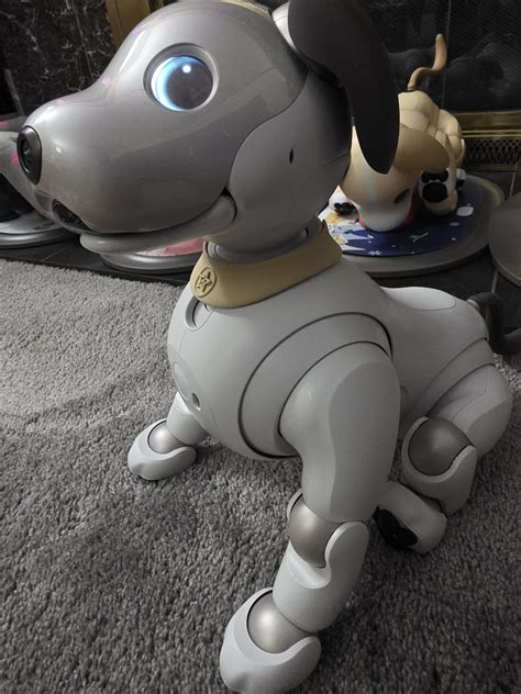 3d Printed Collar For Sony Aibo Ers 1000 Custom Kinako Color Etsy