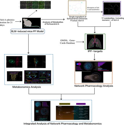 Drug Design Development And Therapy Volume 17 Dove Press