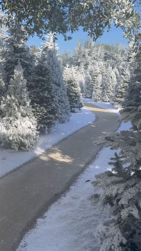 Inside Kris Jenners Over The Top Christmas Eve Party With A List Gig