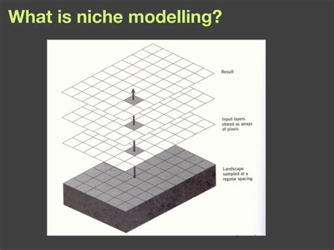 A Brief Introduction To Niche Modelling Ppt
