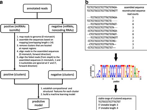 The Process Of Construction Of The Predictive Model A The Building Of