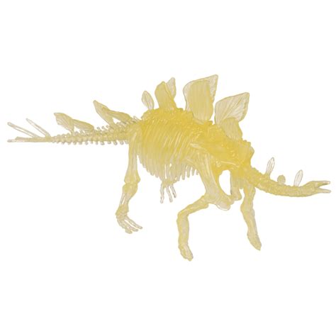 Diy Dinosaur Skeleton Assembly Kit Approx 10 Cm 592194 Out Of