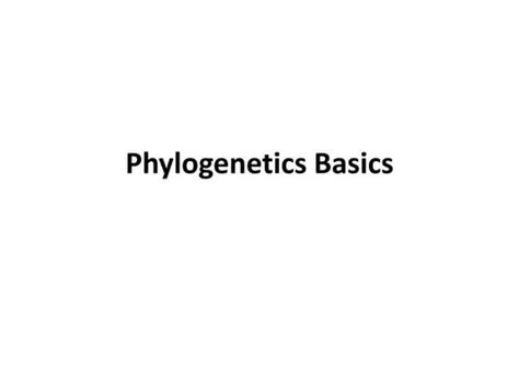 How To Read A Phylogenetic Tree 1 Pptx