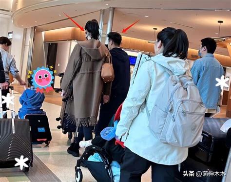 甘比奚梦瑶两阔太聚会看不出年龄差刘秀桦气场强