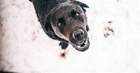 ISO S Perspective A Deep Dive Into Vulnerability Management