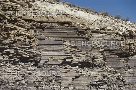 Bedded Limestone Stock Image Science Source Images