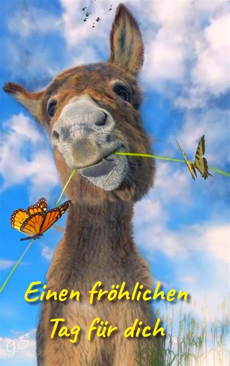 Einen wunderschönen tag Artofit
