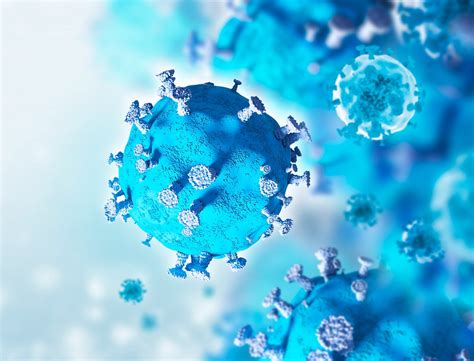 Covid 19 Rt Pcr Test