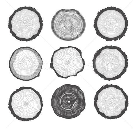 Tree Rings Vector At Vectorified Com Collection Of Tree Rings Vector Free For Personal Use
