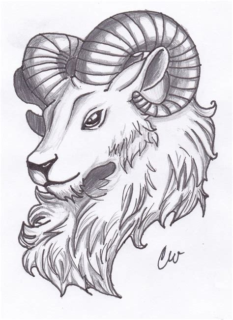 Ram Head Sketch At Explore Collection Of Ram Head Sketch