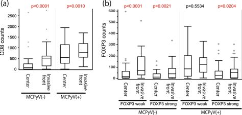 Of Cd8 And Foxp3 Immunohistochemical Staining The Number Of