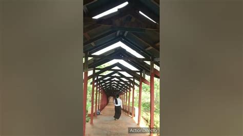 မင်္ဂလာကျက်သရေ တက်နေဝန်းသို့ပမာလေ ️ ️ ️ Youtube