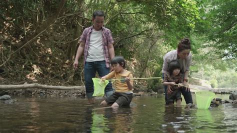 Young Naturalist Videos And Hd Footage Getty Images