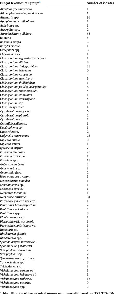 List Of Fungal Taxonomical Groups For The Candidates Successfully