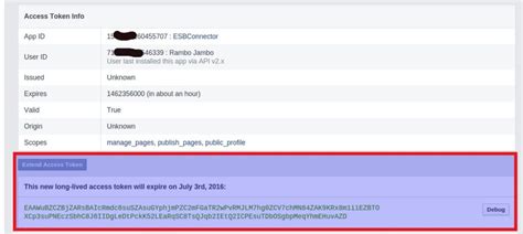 How To Create A Long Live Access Token For Your Facebook Page