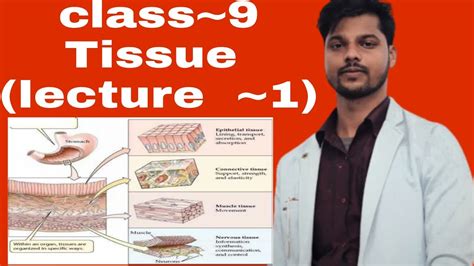 Class 9 Tissue Youtube