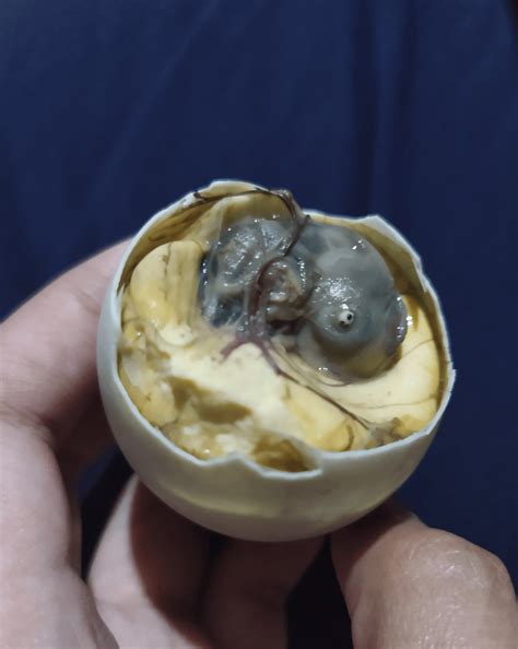 Sisiw Reveal R Casualph