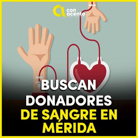 Buscan Donadores De Sangre Para Dos Pacientes En Mérida Con Acento
