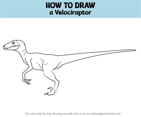How To Draw A Velociraptor Video Stepbystep Pictures