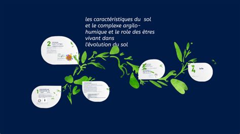 Les Caractéristiques Chimiques Du Sol Et L Importance Du Complexe