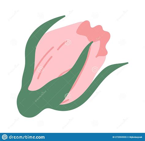 Decorative Rose For Bouquet Stock Vector Illustration Of Greeting