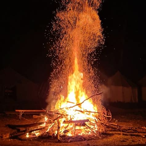 Stream Holger Music Listen To Songs Albums Playlists For Free On Soundcloud