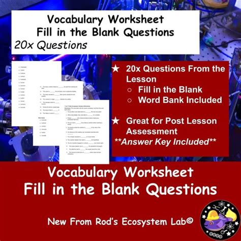 Computer Hardware And Software Vocab Fill In The Blank Sentence Worksheet