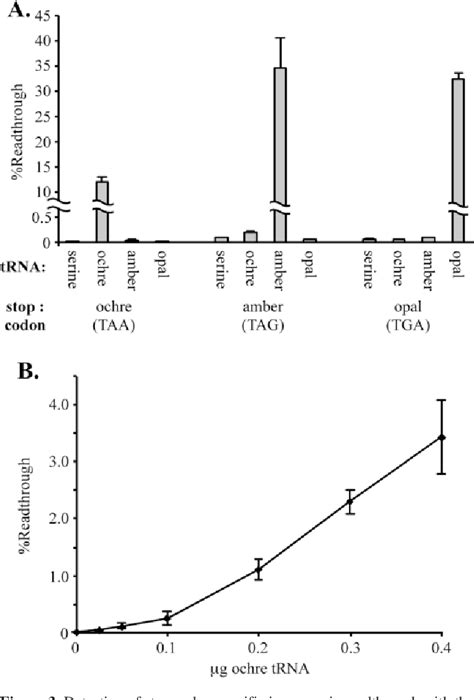Figure 3 From The Effect Of Eukaryotic Release Factor Depletion On
