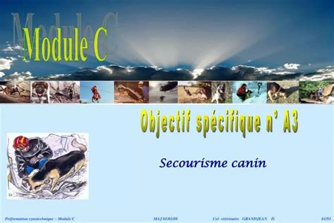 PPT Module C PowerPoint Presentation Free Download ID 5265324