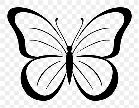 Butterfly Outline Images Free Photos Png Stickers Wallpapers