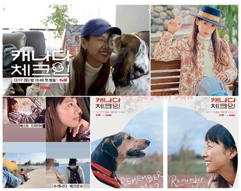 캐나다 체크인 5화 이효리 입양개들 찾아 3만리 초고화질1080p 저장 파일썬