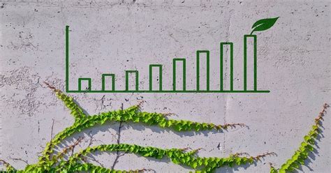 Cfos Navigate Esg Reporting Challenges